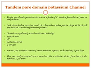 Potassium (K+) channels | PPTX