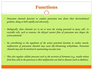Potassium (K+) channels | PPTX