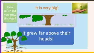 ESL Reading Lesson Plant a tree | PPTX