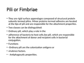 Share_Ultra_structure of a bacterial cell WPS_Office.pptx