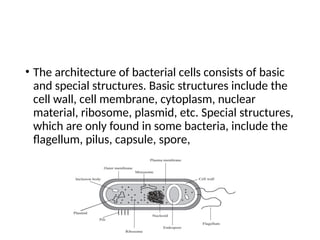 Share_Ultra_structure of a bacterial cell WPS_Office.pptx
