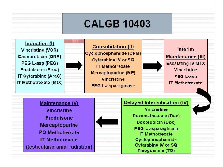 Adolescens ALL kezelési program