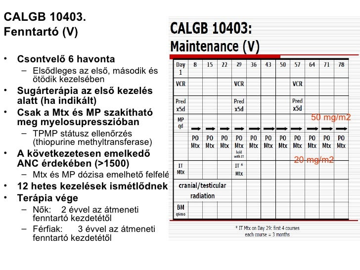 Adolescens ALL kezelési program
