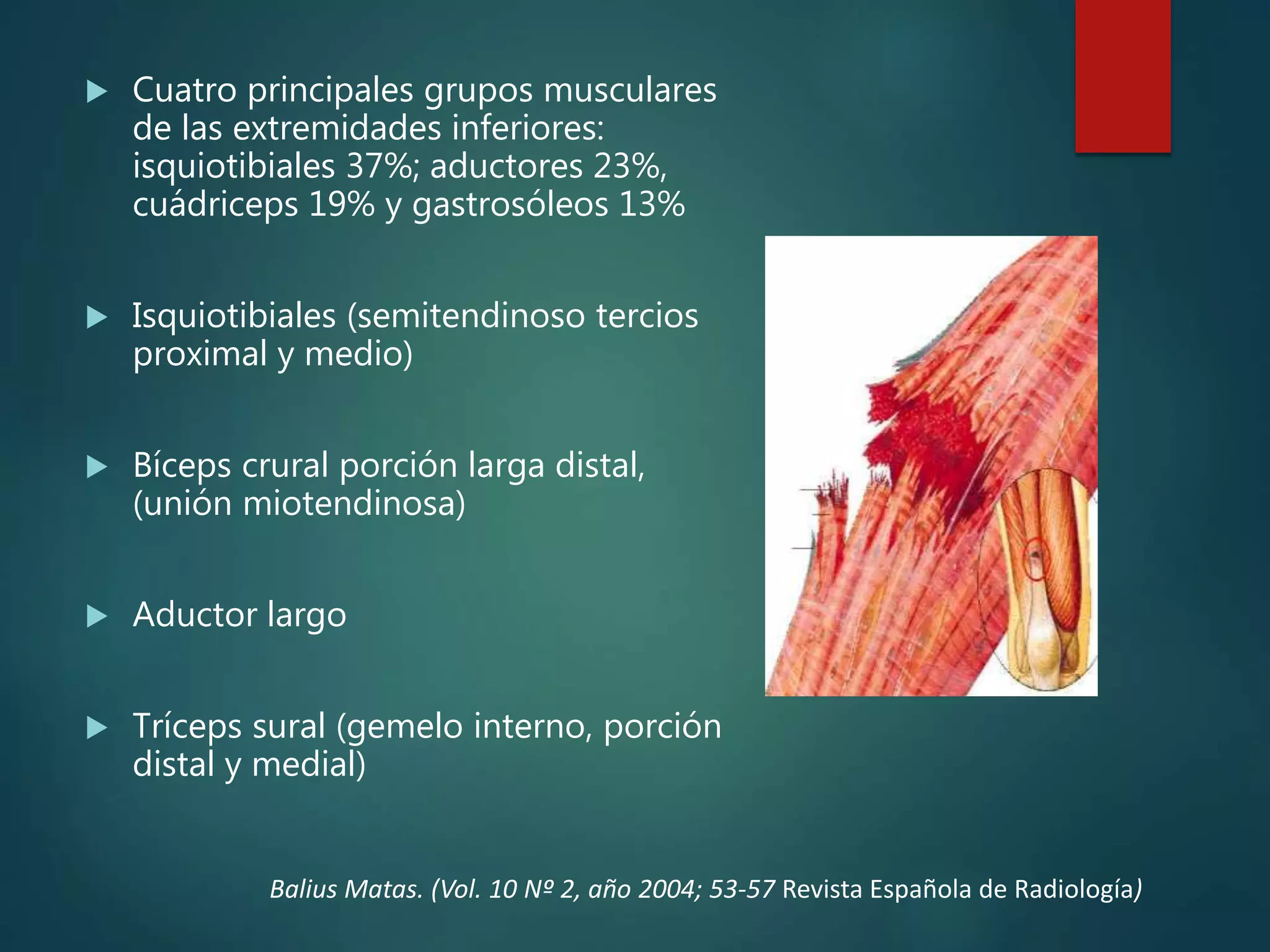 Lesiones Musculares | PPT