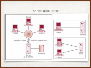 Basis Data Client-Server | PDF