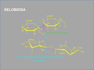 Kd2 karbohidrat | PPT