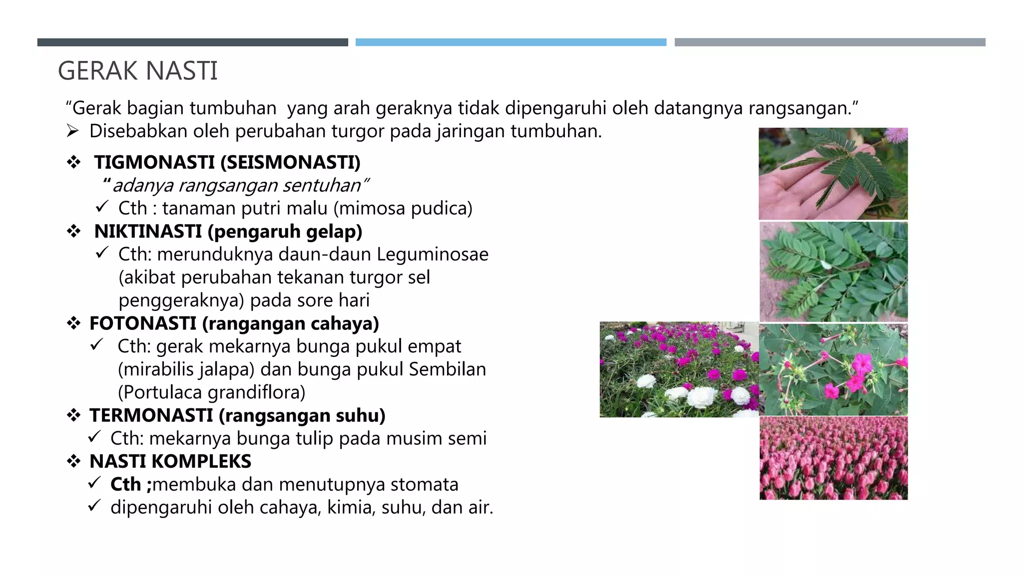 KD 3.4 STRUKTUR DAN FUNGSI JARINGAN TUMBUHAN.pptx