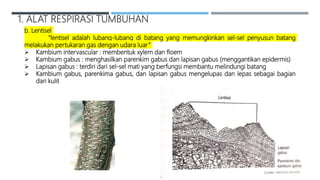 KD 3.4 STRUKTUR DAN FUNGSI JARINGAN TUMBUHAN.pptx