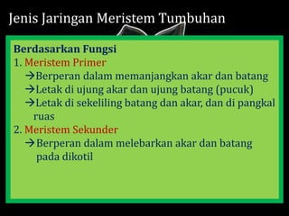 KD 3.3 Struktur dan Fungsi Jaringan Tumbuhan.pptx