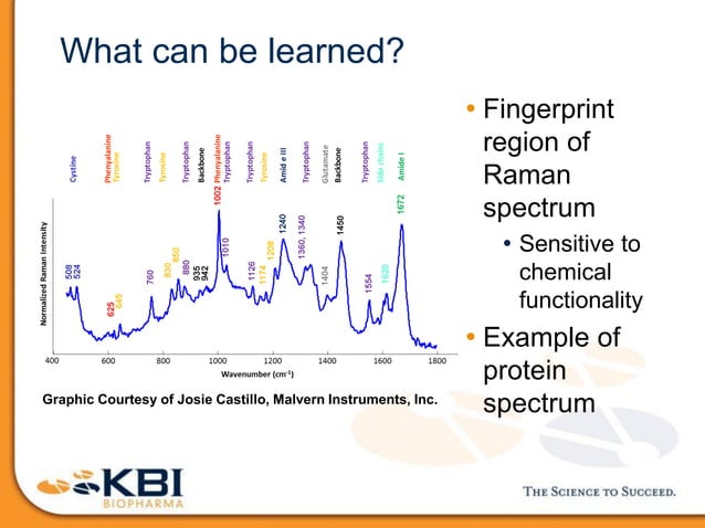 Automated Raman Microspectroscopy For Characterization And