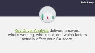 Key Driver Analysis: A Crash Course in Customer Experience Reporting ...