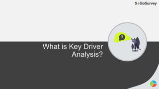 Key Driver Analysis: A Crash Course in Customer Experience Reporting ...