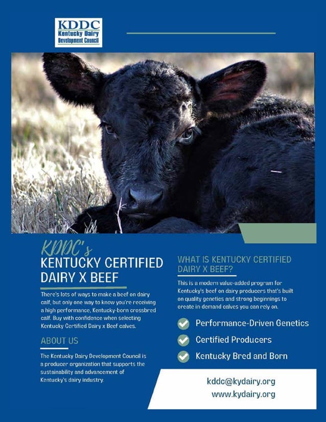 Kentucky Milk Matters - KDDC March April 2024 | PDF