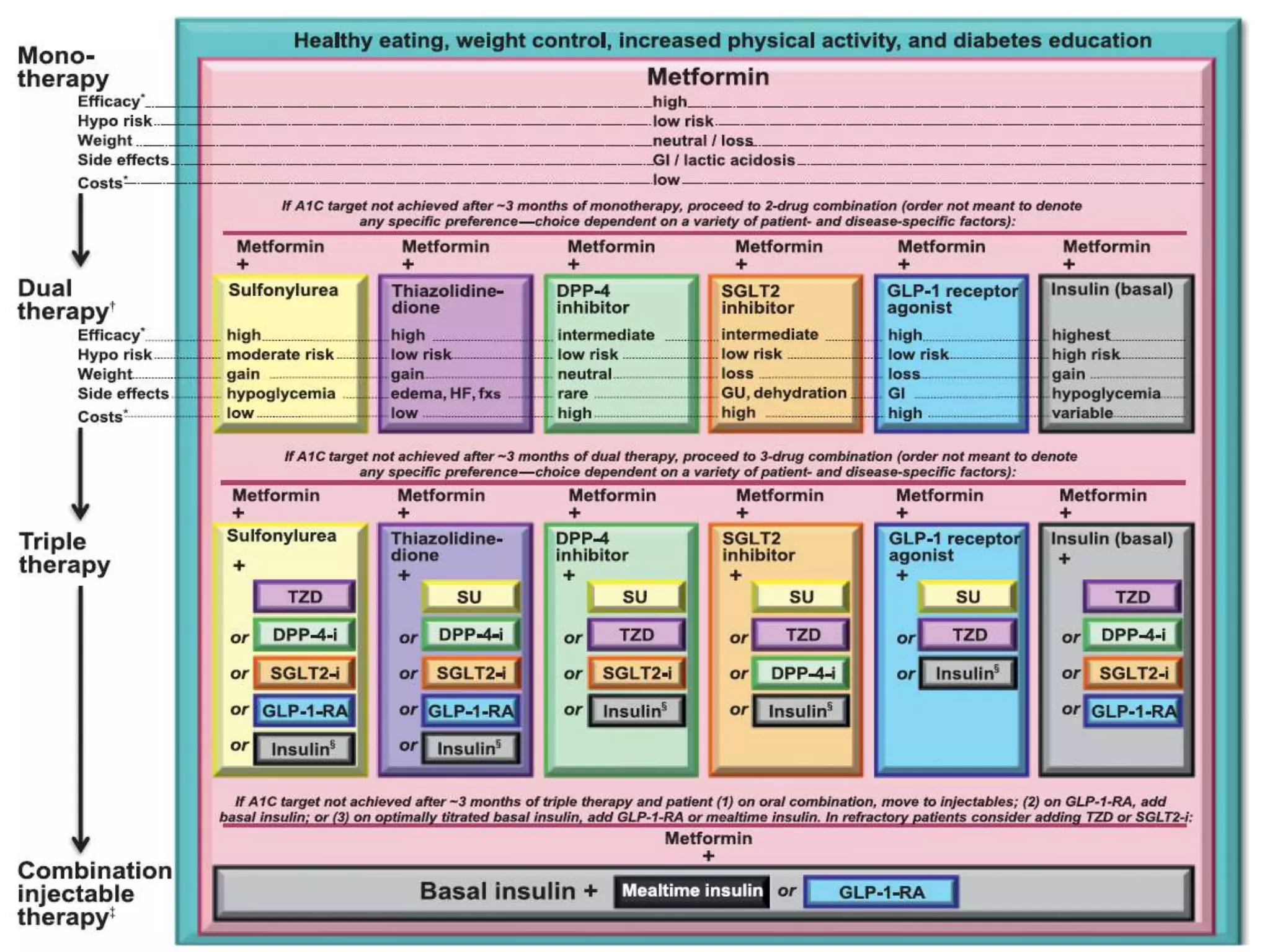 insulin_and_insulin_analogues.pptx