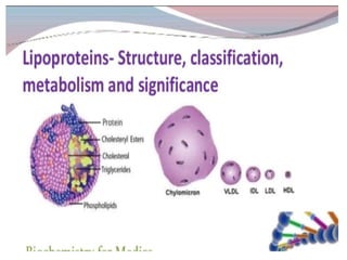 PPT 13 DR.RAO Kd end game ALL CYCLES OF BIOCHEMISTRY | PPT