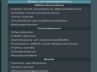 PPT 13 DR.RAO Kd end game ALL CYCLES OF BIOCHEMISTRY | PPTX | Chemistry ...