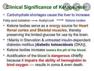 PPT 13 DR.RAO Kd end game ALL CYCLES OF BIOCHEMISTRY | PPT