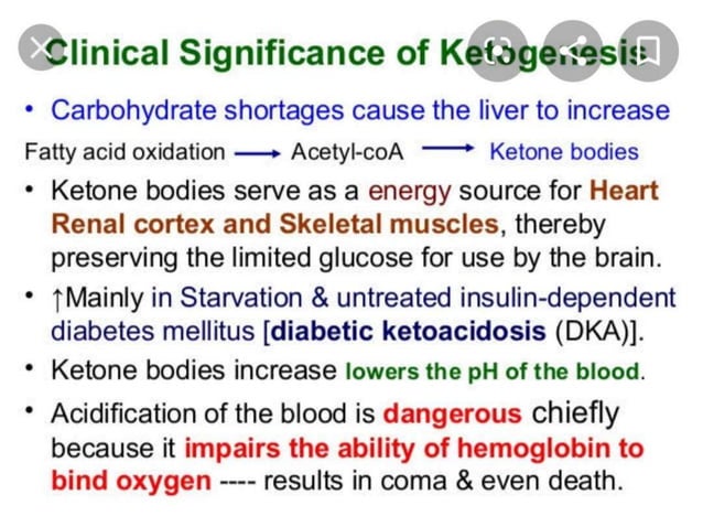 PPT 13 DR.RAO Kd end game ALL CYCLES OF BIOCHEMISTRY | PPTX | Chemistry ...