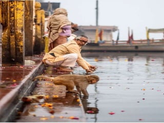 PPT 13 DR.RAO Kd end game ALL CYCLES OF BIOCHEMISTRY | PPT