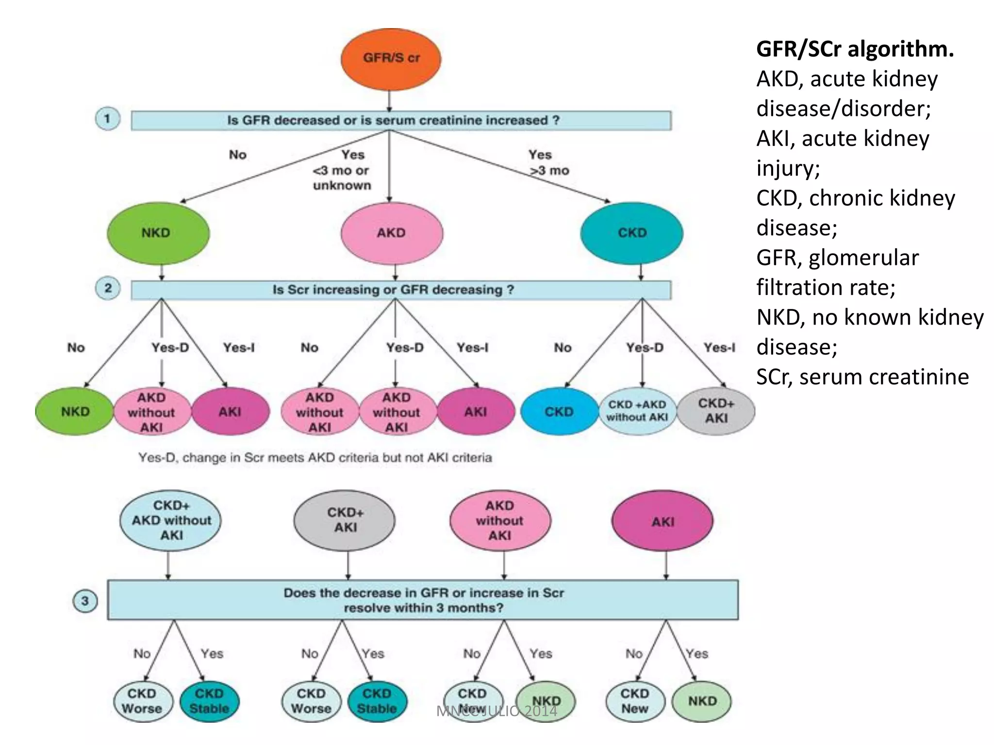 Kdigo 2012-irc, ira y guia nutricional en paciente con frc | PDF