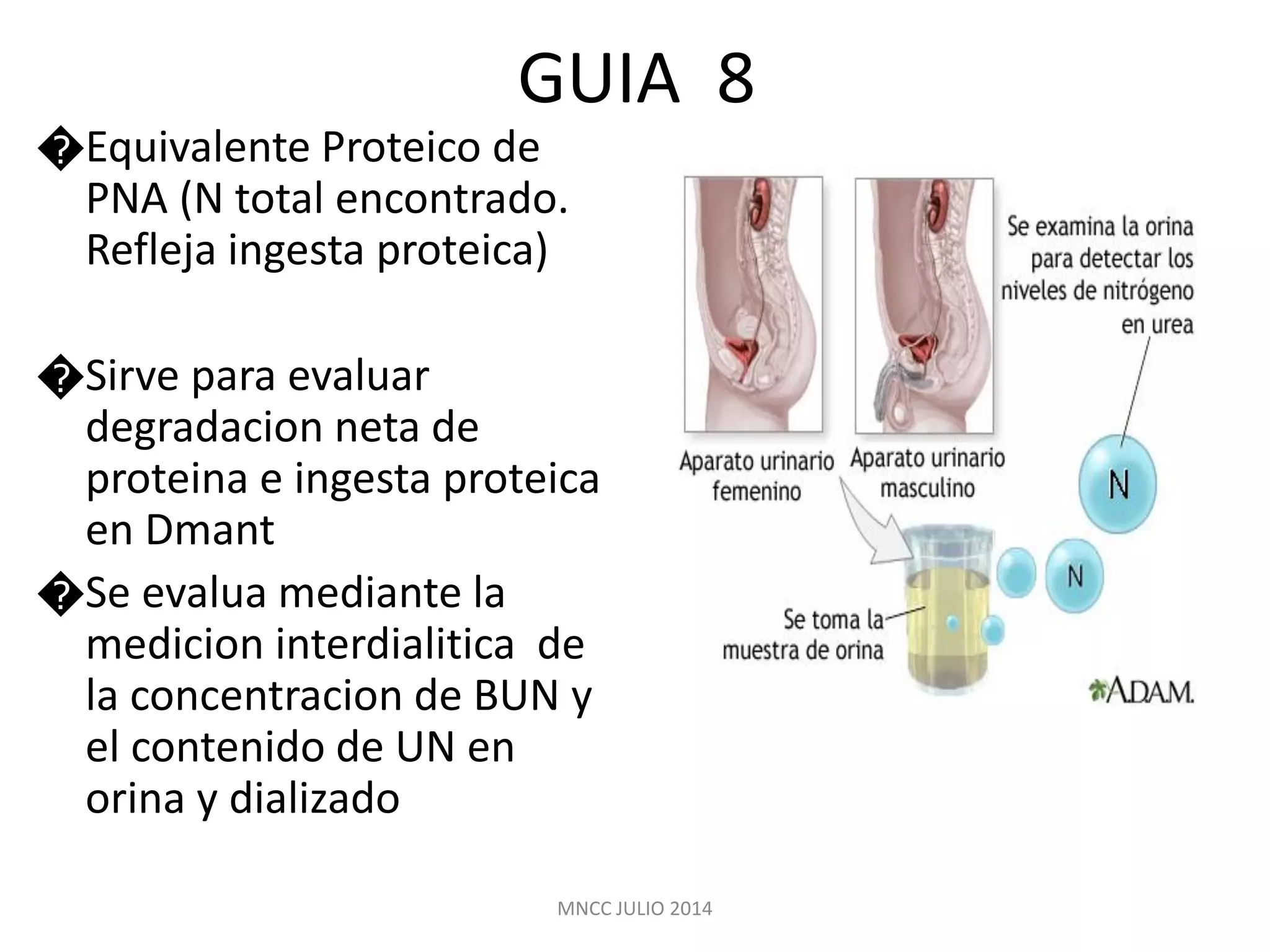 Kdigo 2012-irc, ira y guia nutricional en paciente con frc | PDF