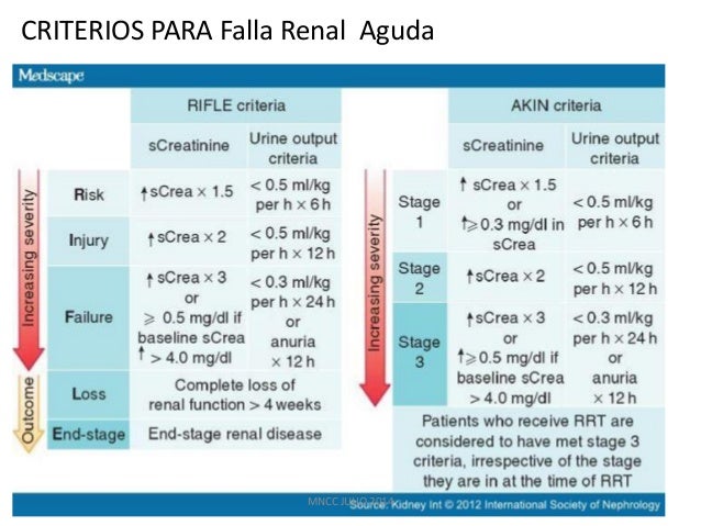 Persistent Kidney sickness Kdigo