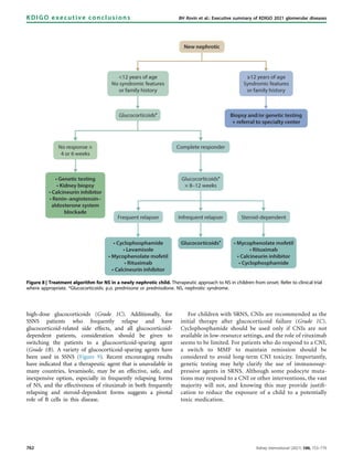 KDIGO-2021-GD-Guideline-Executive-Summary.pdf