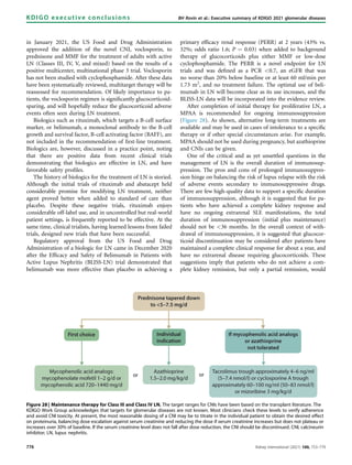 KDIGO-2021-GD-Guideline-Executive-Summary.pdf