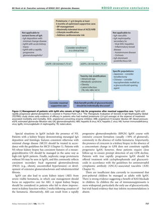 KDIGO-2021-GD-Guideline-Executive-Summary.pdf