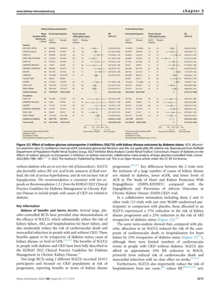 KDIGO-2024-CKD-ENFERMEDAD RENAL -- GUIA- | PDF