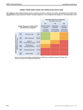 KDIGO-2024-CKD-ENFERMEDAD RENAL -- GUIA- | PDF