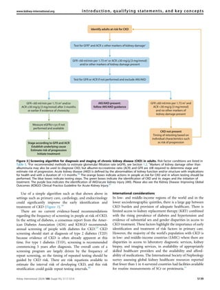 KDIGO-2024-CKD-ENFERMEDAD RENAL -- GUIA- | PDF
