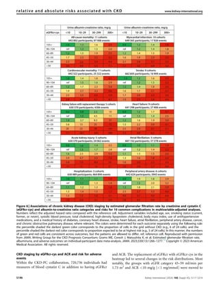 KDIGO-2024-CKD-ENFERMEDAD RENAL -- GUIA- | PDF