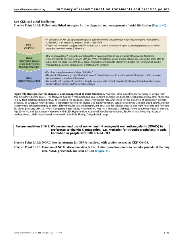 KDIGO-2024-CKD-ENFERMEDAD RENAL -- GUIA- | PDF