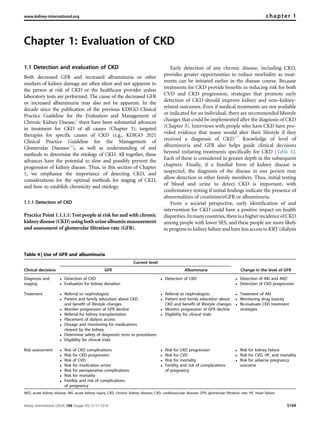 KDIGO-2024-CKD-ENFERMEDAD RENAL -- GUIA- | PDF