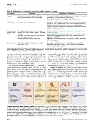 KDIGO-2024-CKD-ENFERMEDAD RENAL -- GUIA- | PDF