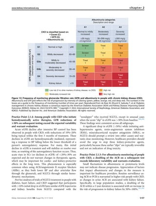 KDIGO-2024-CKD-ENFERMEDAD RENAL -- GUIA- | PDF