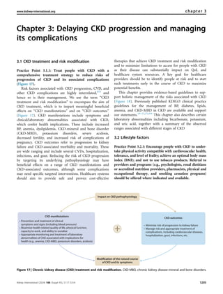 KDIGO-2024-CKD-ENFERMEDAD RENAL -- GUIA- | PDF