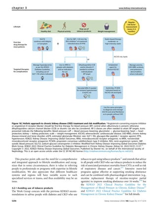 KDIGO-2024-CKD-ENFERMEDAD RENAL -- GUIA- | PDF