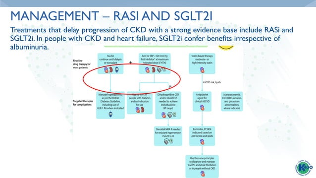 KDIGO-2024-CKD-Guideline-Top10-Highlight.pptx