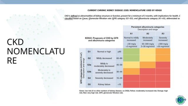 KDIGO-2024-CKD-Guideline-Top10-Highlight.pptx