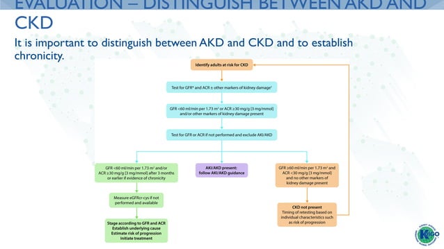 KDIGO-2024-CKD-Guideline-Top10-Highlight.pptx