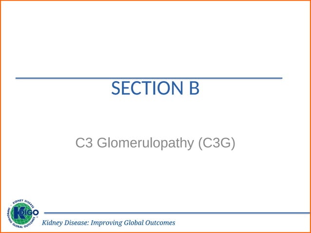 KDIGO-CMKD-CC-Speakers-Guide-v4-July-17-FINAL.pptx