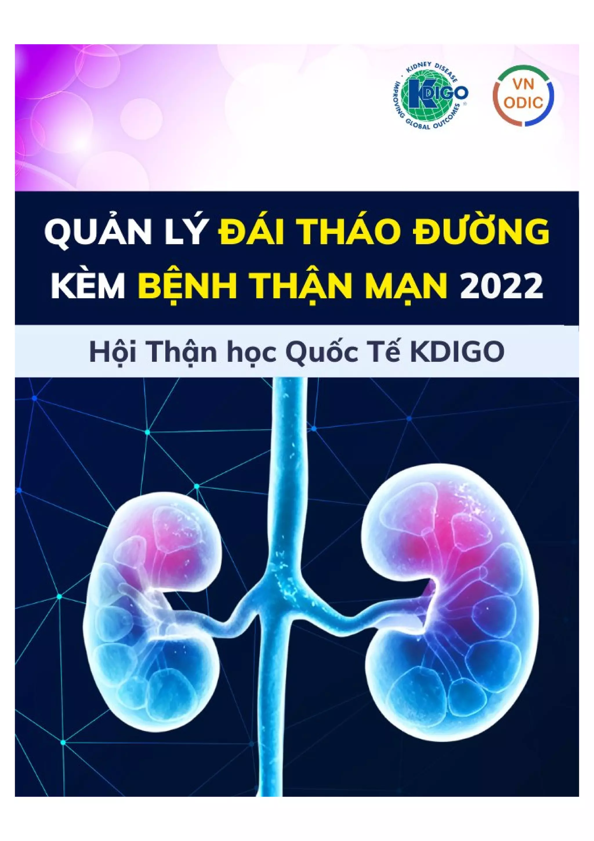 (KDIGO) 2022 về Quản lý đái tháo đường kèm bệnh thận mạn.pdf