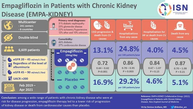 KDIGO 2024 guidelines for diabetologists | PPTX