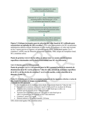 KDIGO 2026 Lesión renal aguda ESPAÑOL.pdf