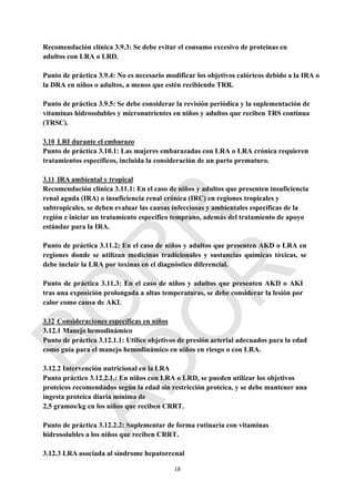 KDIGO 2026 Lesión renal aguda ESPAÑOL.pdf