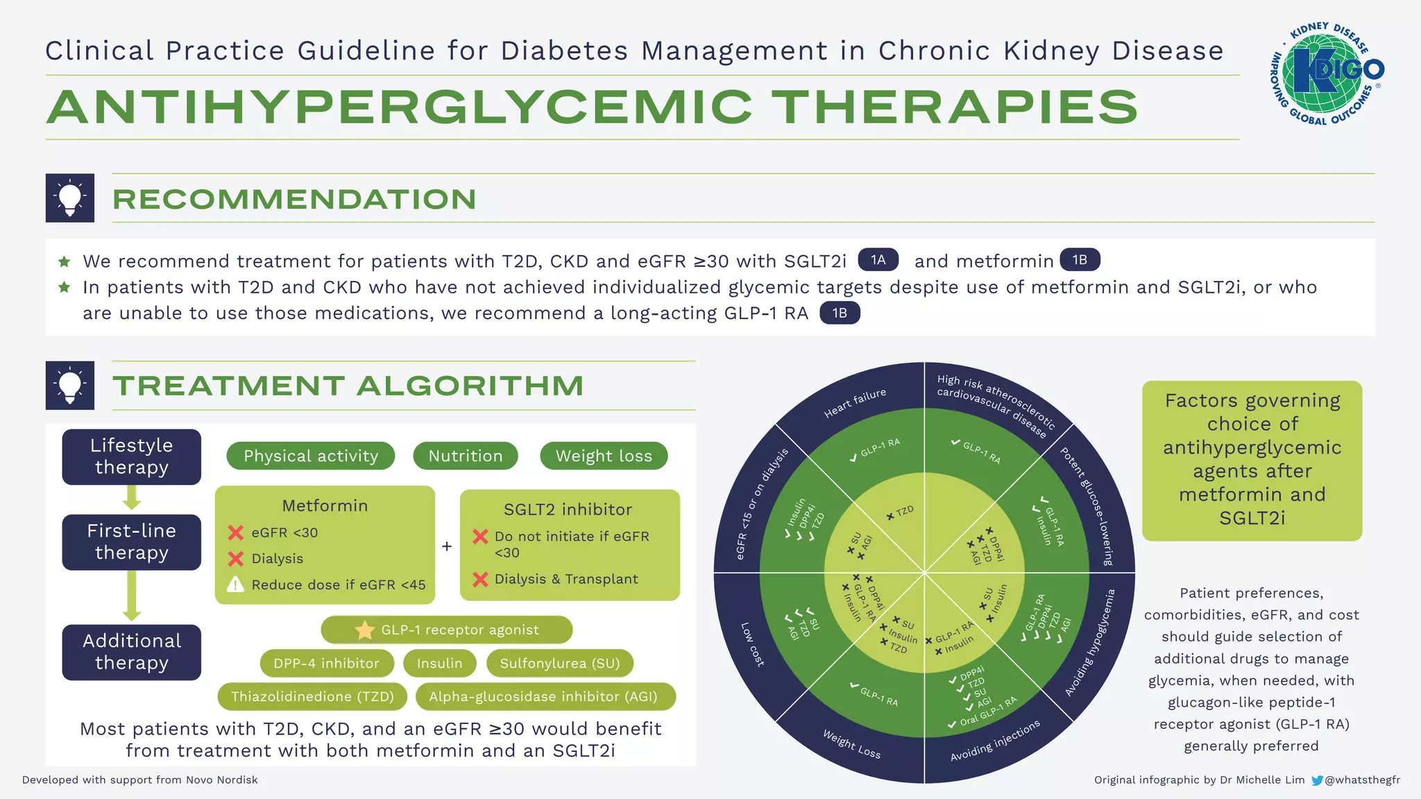 KDIGO_Diabetes-in-CKD-Infographics-Set.pdf