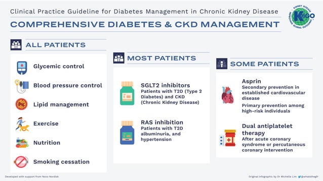 KDIGO_Diabetes-in-CKD-Infographics-Set.pdf