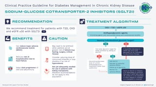 KDIGO_Diabetes-in-CKD-Infographics-Set.pdf